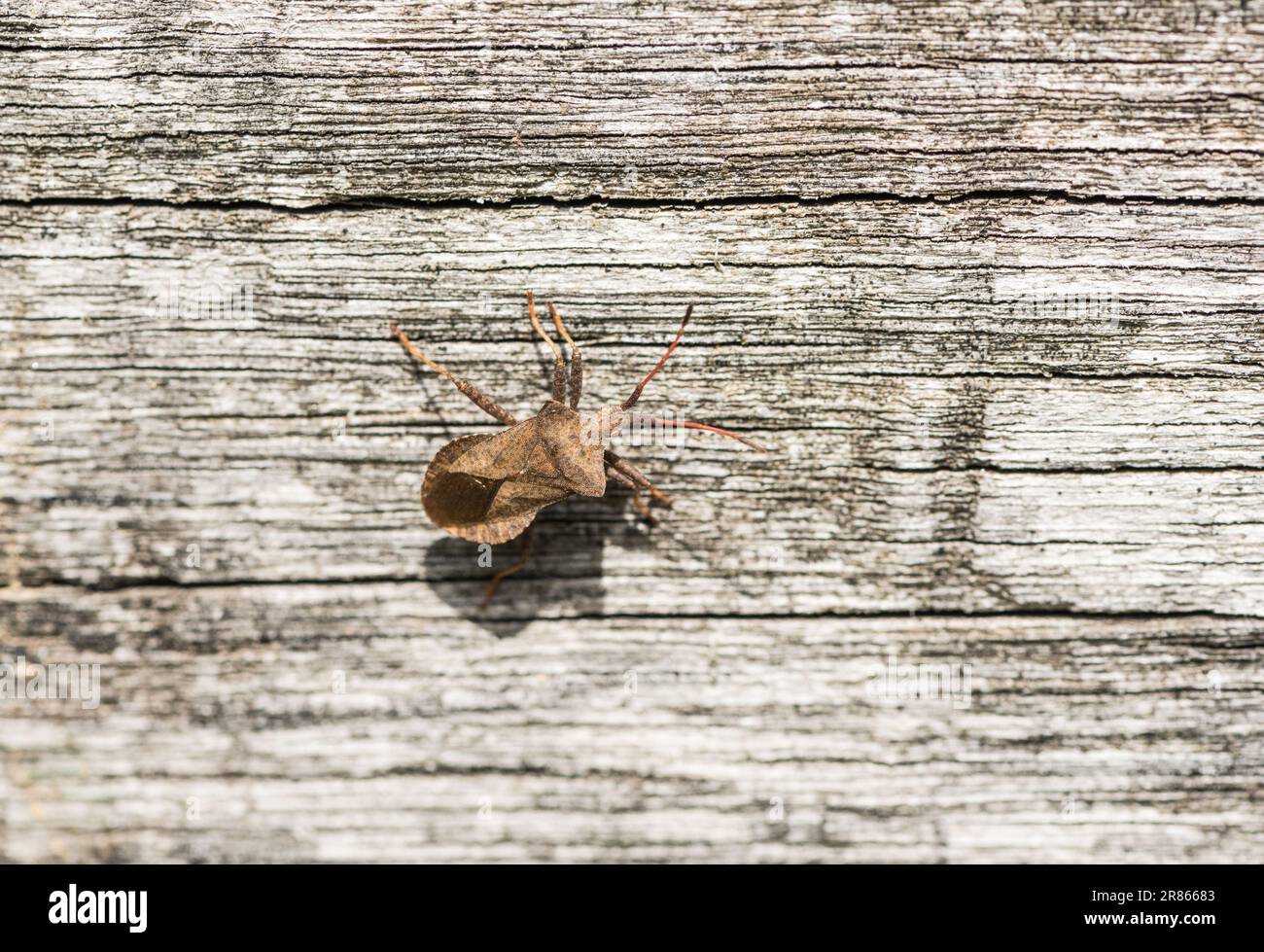 Uk waiting wooden fence hi-res stock photography and images - Alamy