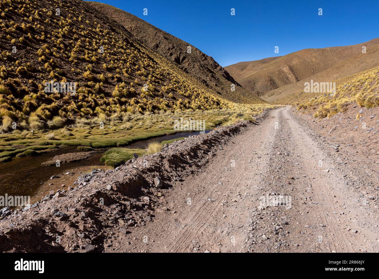 Crossing the Andes from Antofagasta de la Sierra to Antofalla ...