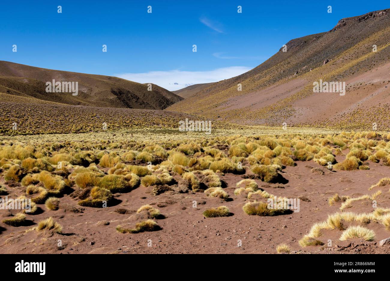 Crossing the Andes from Antofagasta de la Sierra to Antofalla ...