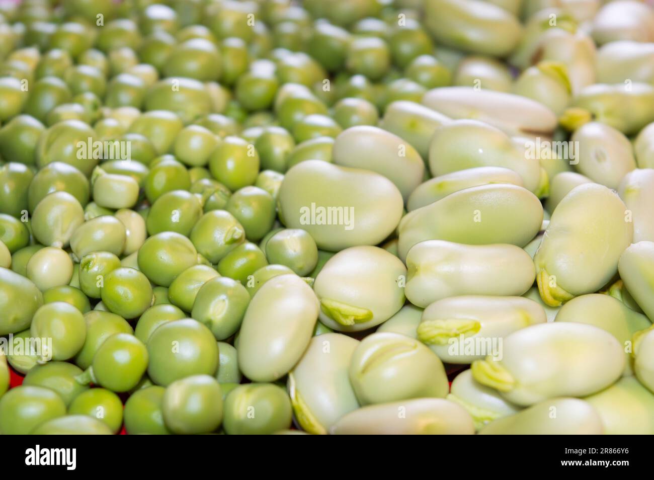 Shelled green peas and broad beans, concept of healthy eating Stock ...