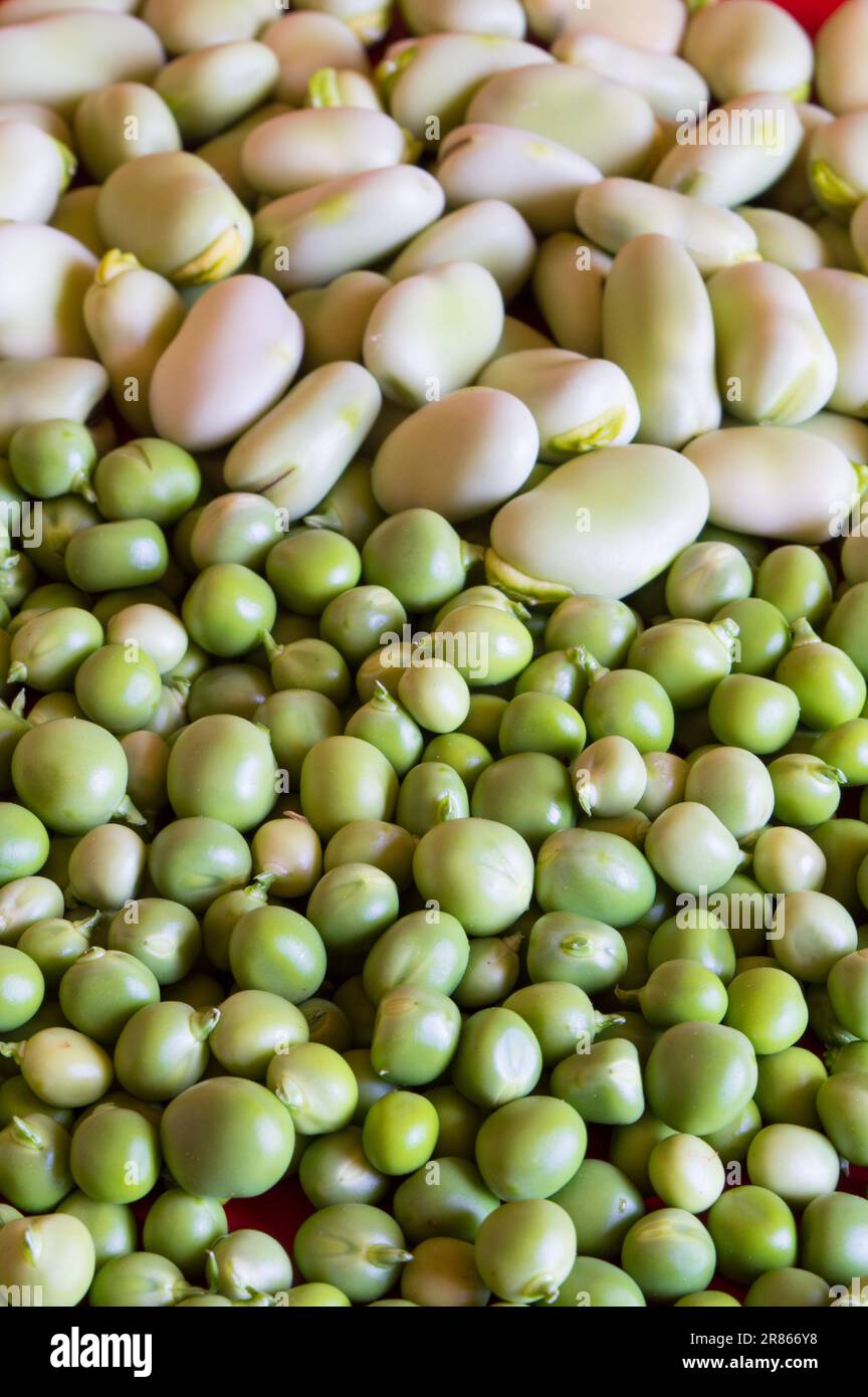 Shelled green peas and broad beans, concept of healthy eating Stock ...