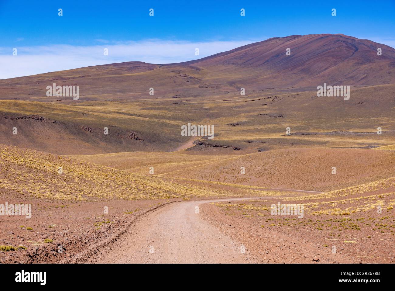 Crossing the Andes from Antofagasta de la Sierra to Antofalla ...