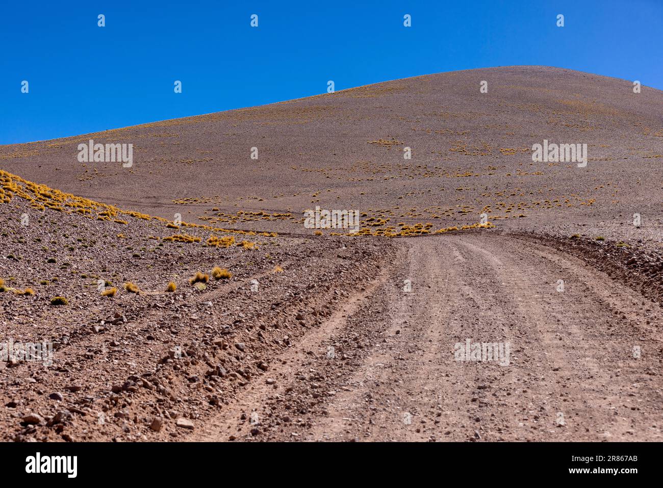 Crossing the Andes from Antofagasta de la Sierra to Antofalla ...