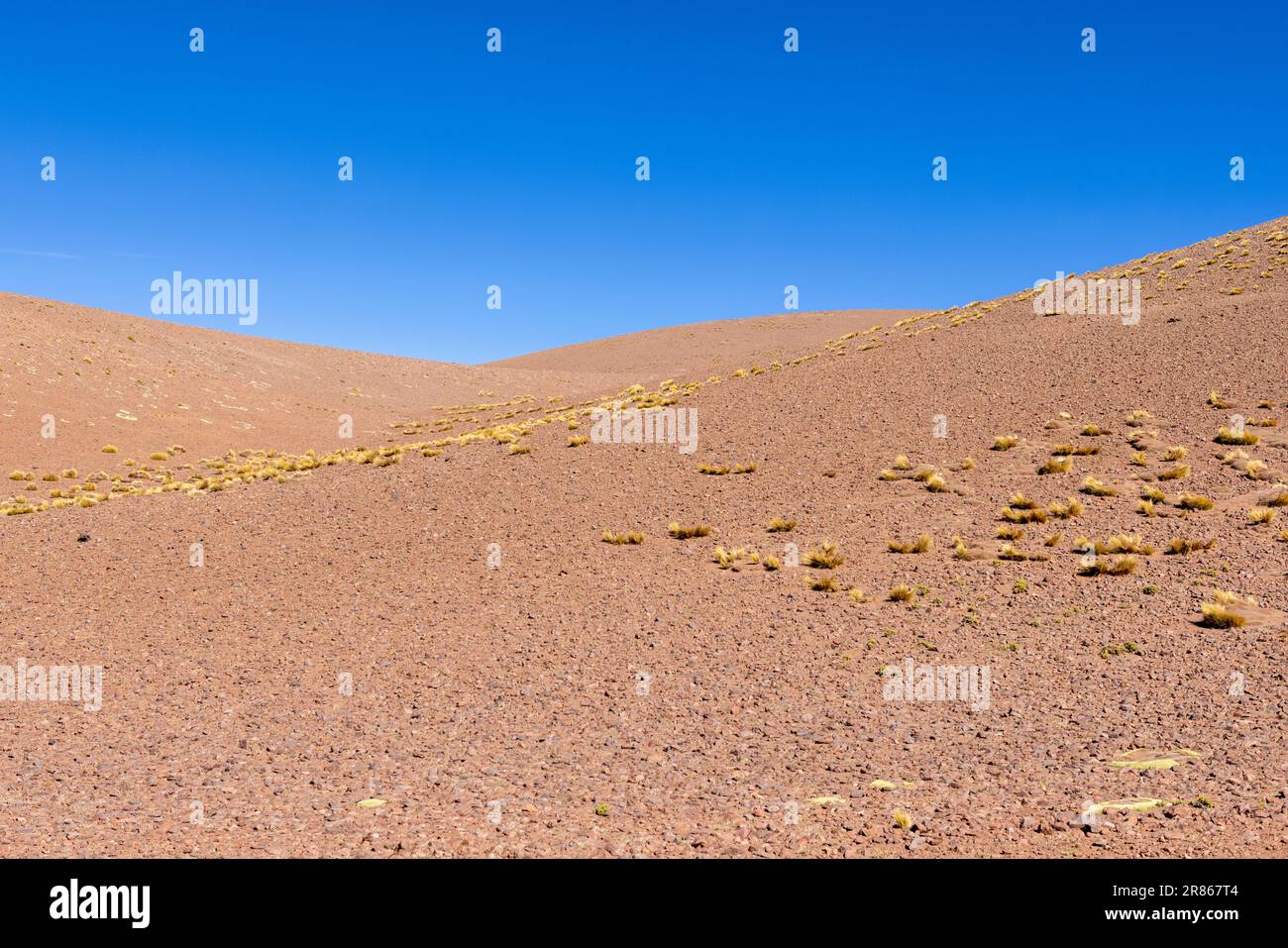 Crossing the Andes from Antofagasta de la Sierra to Antofalla ...