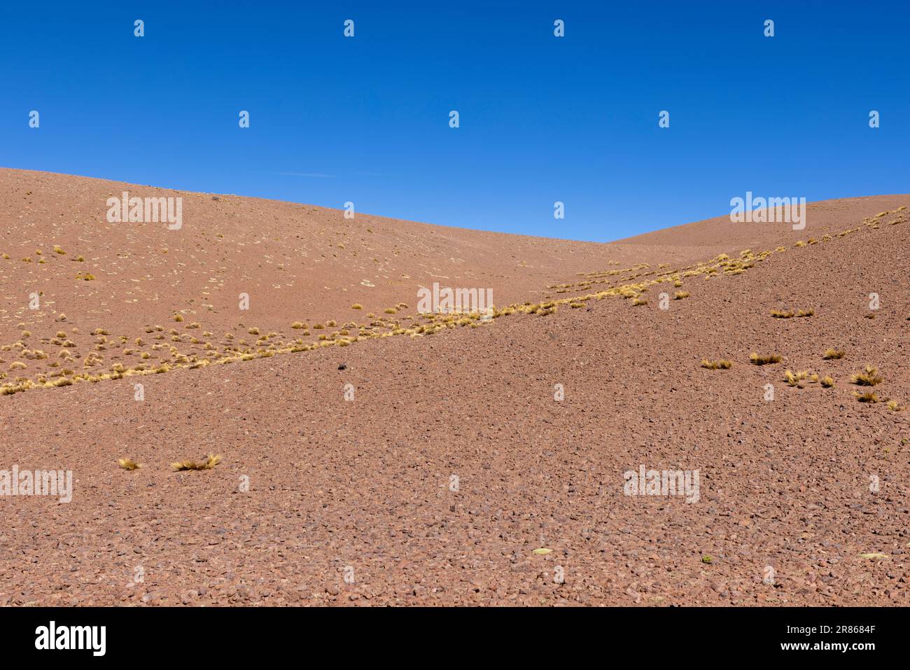Crossing the Andes from Antofagasta de la Sierra to Antofalla ...
