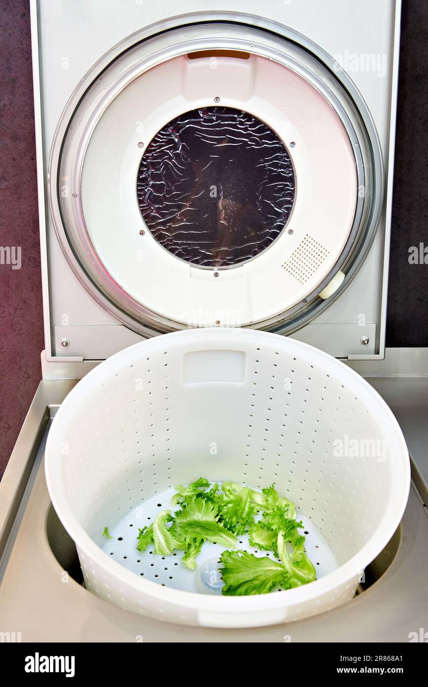 Vegetable and salad washing machine for industrial food equipment Stock ...