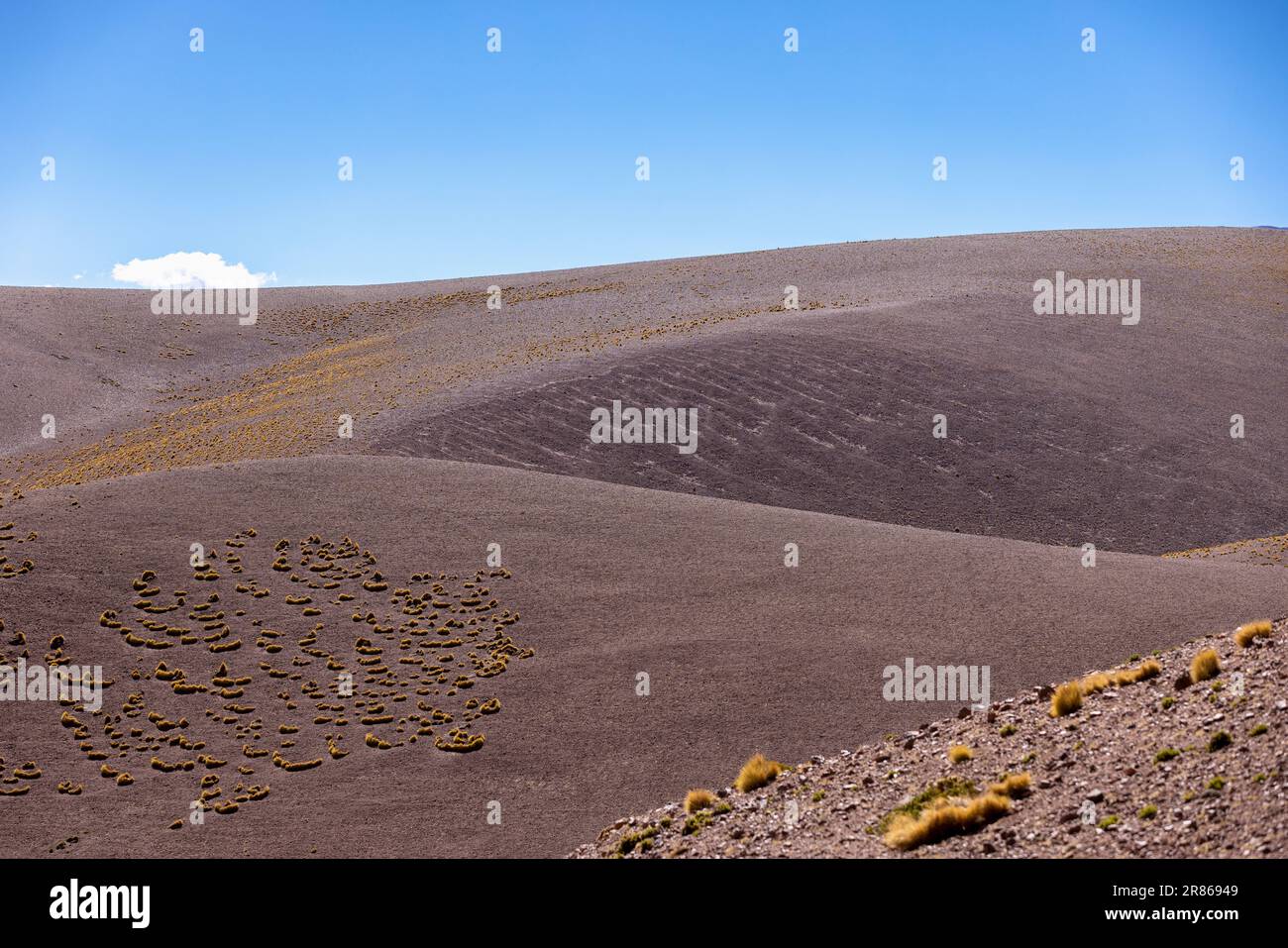 Crossing the Andes from Antofagasta de la Sierra to Antofalla ...