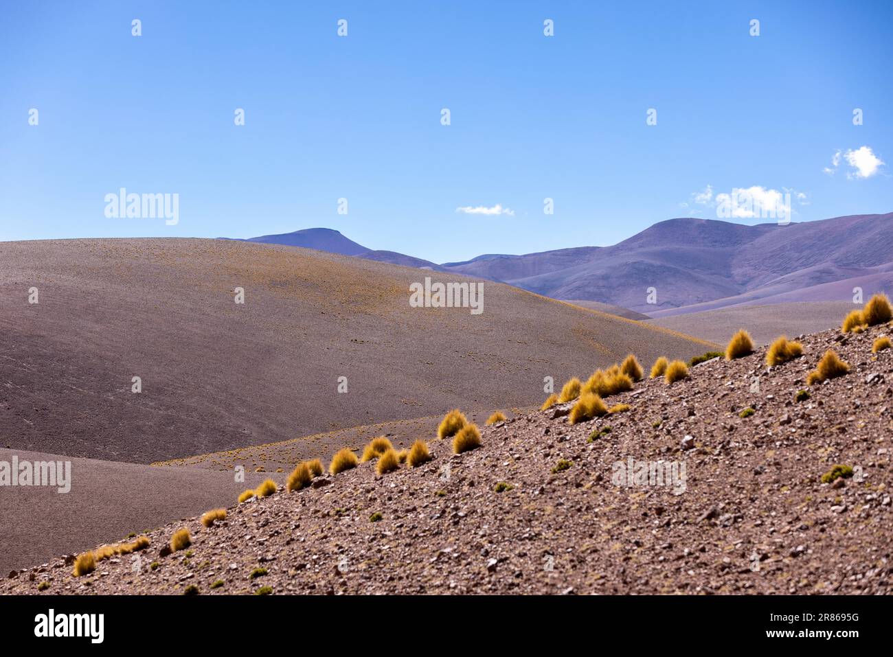 Crossing the Andes from Antofagasta de la Sierra to Antofalla ...