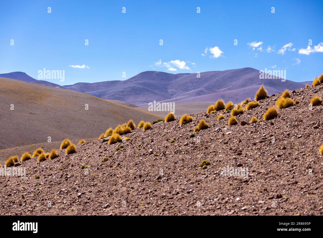 Crossing the Andes from Antofagasta de la Sierra to Antofalla ...