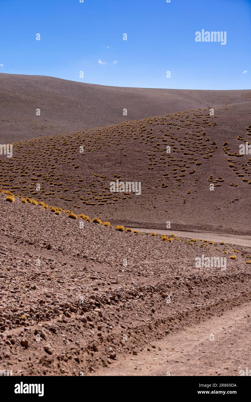 Crossing the Andes from Antofagasta de la Sierra to Antofalla ...