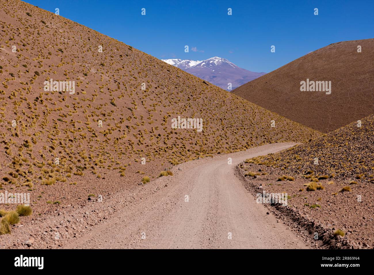 Crossing the Andes from Antofagasta de la Sierra to Antofalla ...