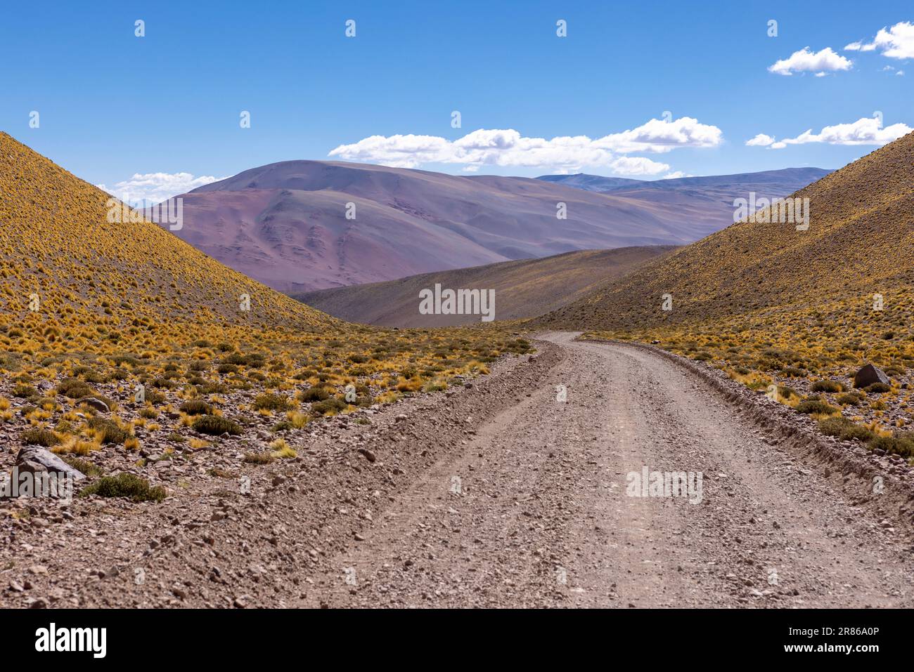 Crossing the Andes from Antofagasta de la Sierra to Antofalla ...