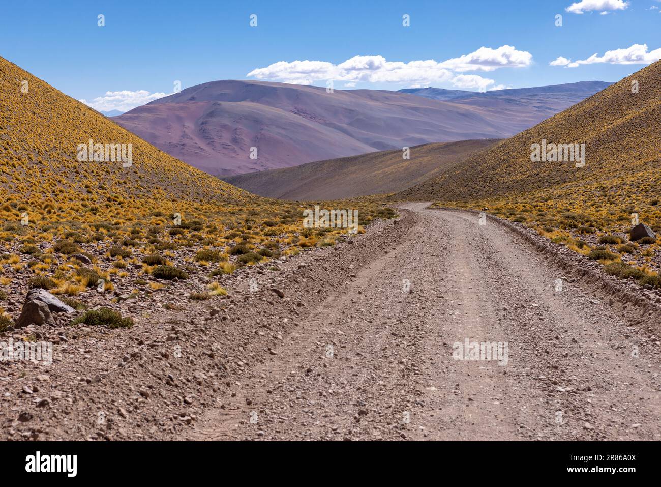 Crossing the Andes from Antofagasta de la Sierra to Antofalla ...