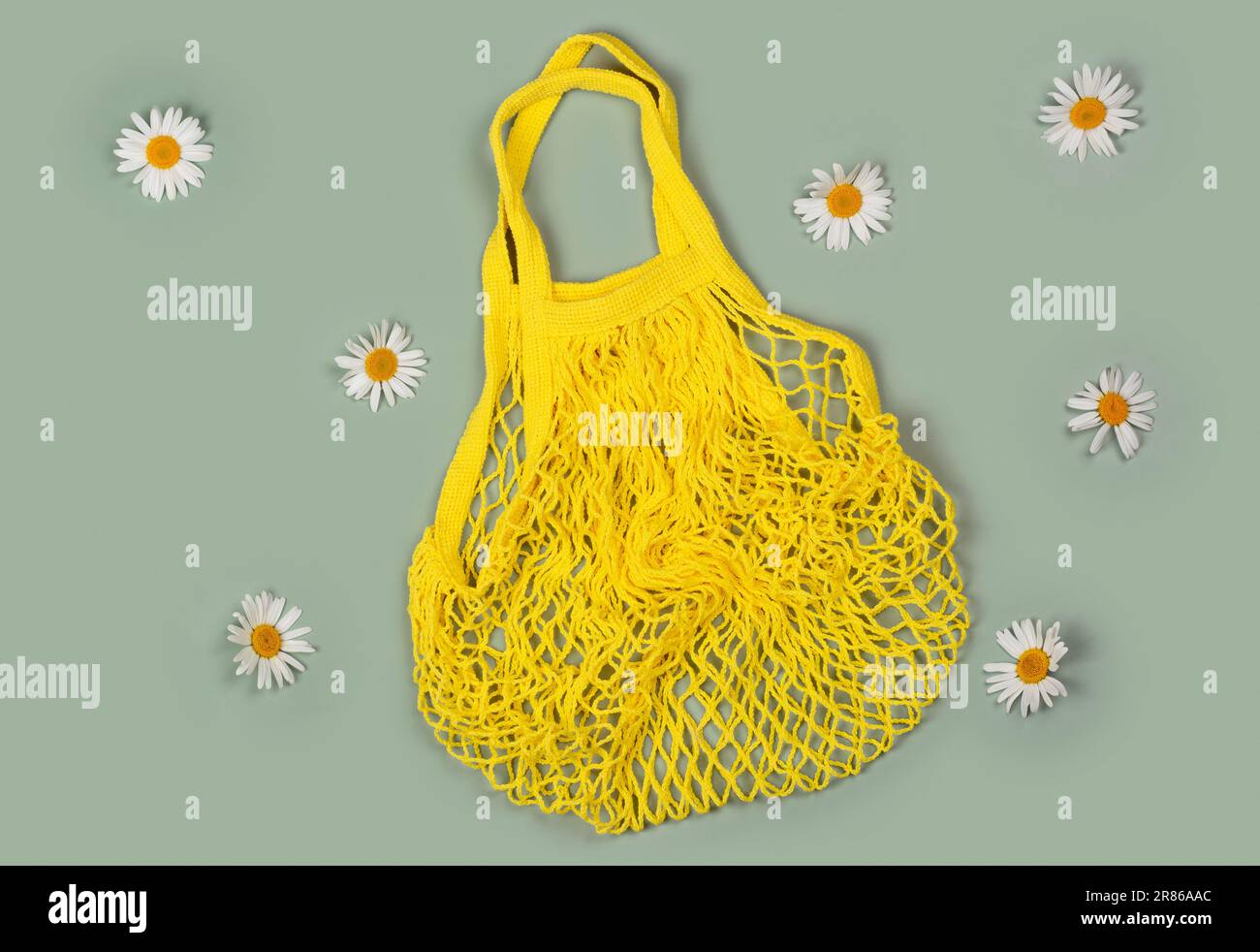 Yellow mesh string bag and camomiles flowers on green. International ...