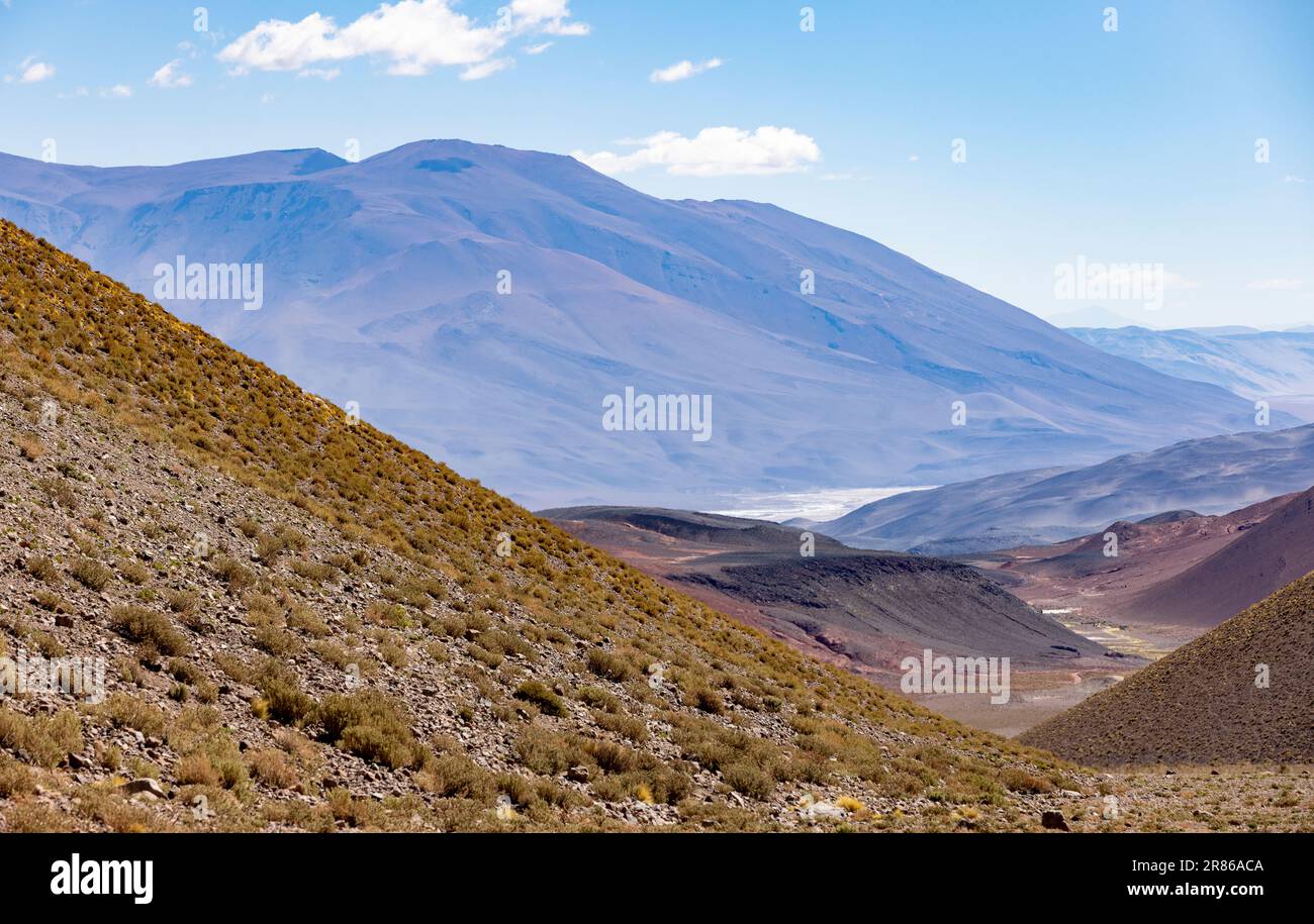 Crossing the Andes from Antofagasta de la Sierra to Antofalla ...