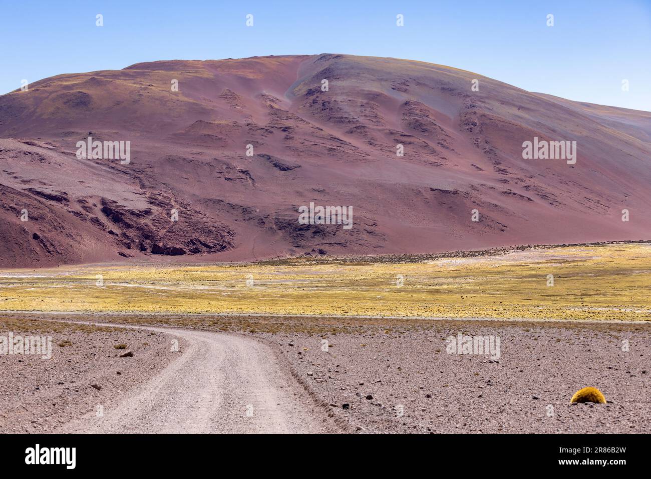 Crossing the Andes from Antofagasta de la Sierra to Antofalla ...