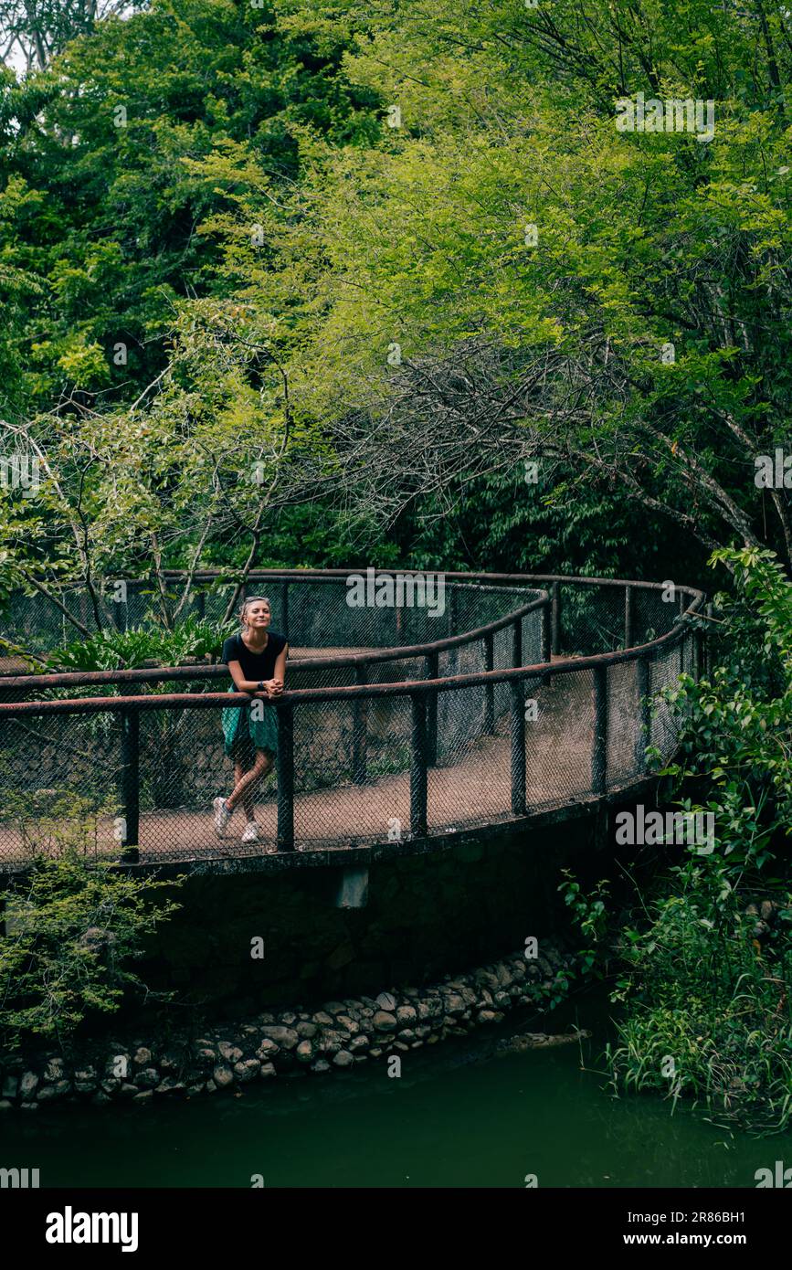 Crocodiles walk hi-res stock photography and images - Alamy