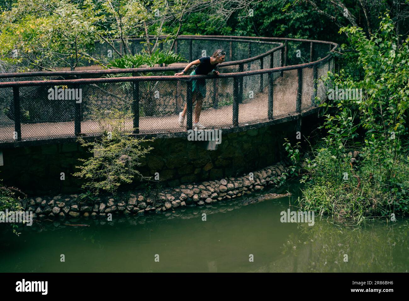 walking path in the zoo with crocodiles. High quality photo Stock Photo ...