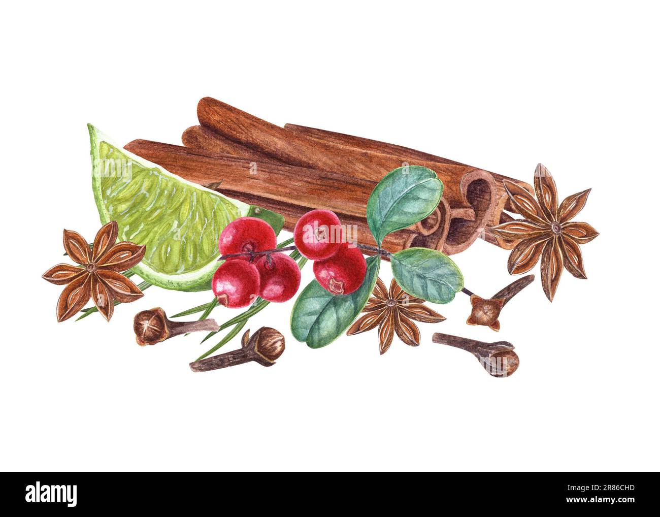 Cinnamon sticks, red huckleberry, line slice, pine needles, cloves ...