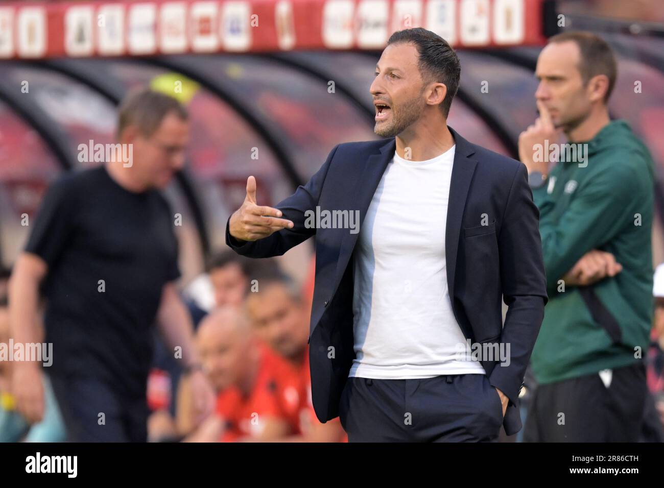 BRUSSELS - Belgium trainer coach Domenico Tedesco during the UEFA EURO ...