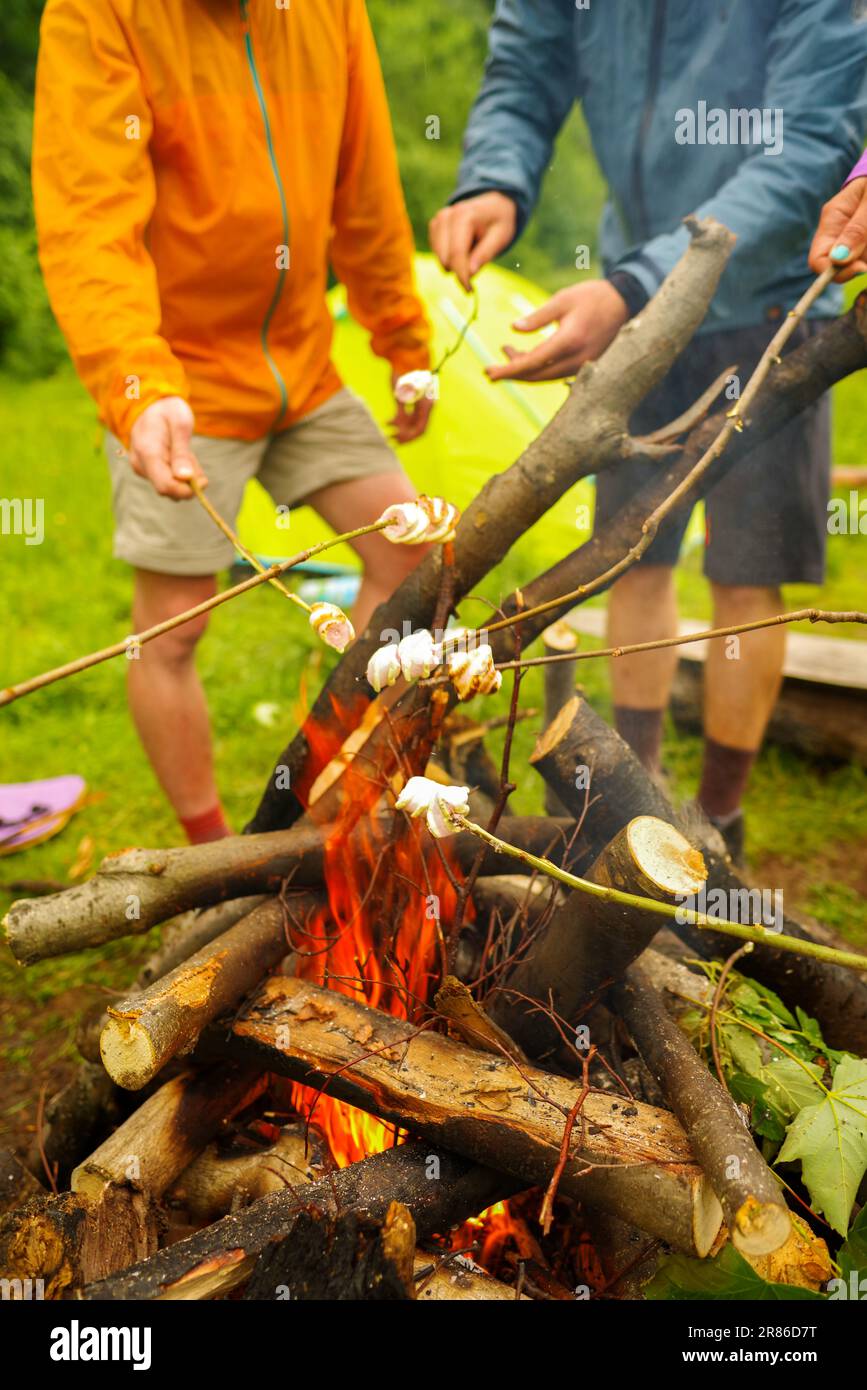A group of people are preparing marshmallows on a fire. Several people ...