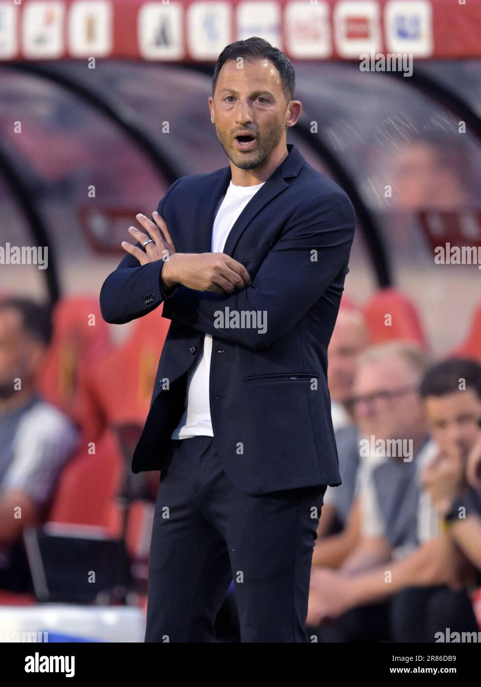 BRUSSELS - Belgium trainer coach Domenico Tedesco during the UEFA EURO ...