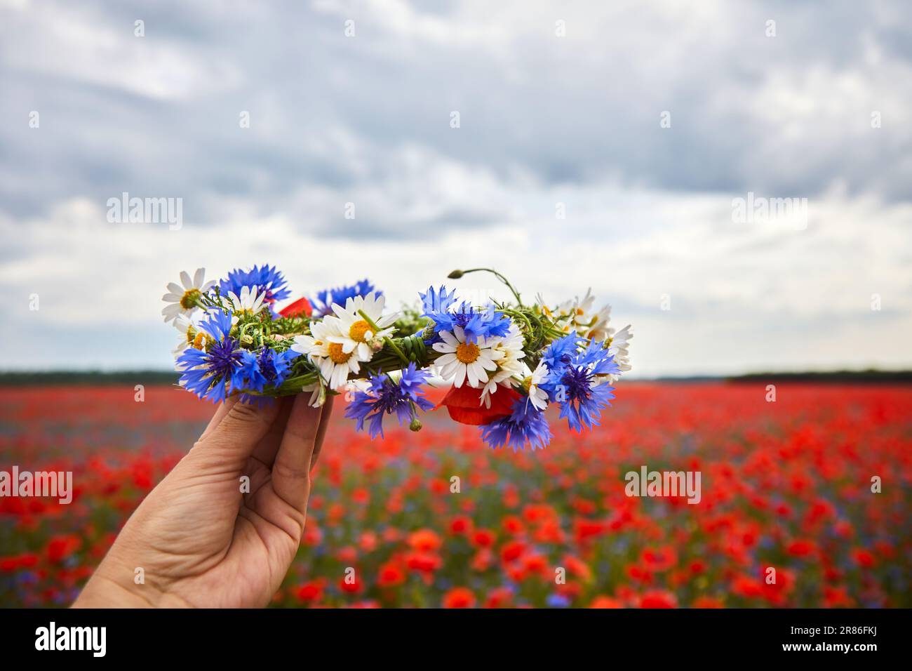 Wreath of Meadow flower in summer garden. Summer Solstice Day ...