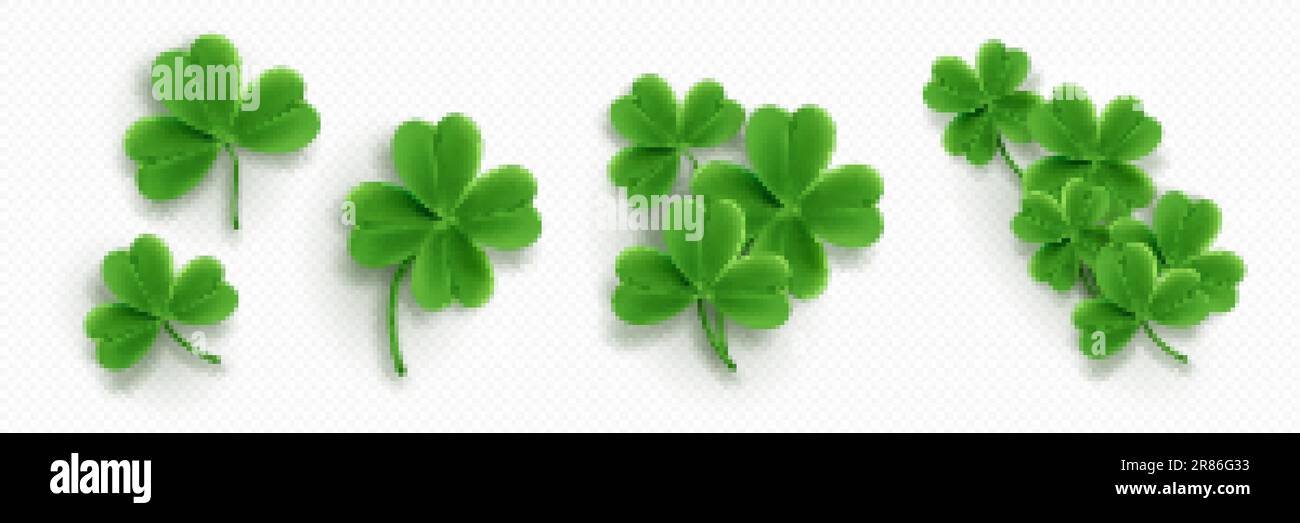 Realistic set of clover leaves isolated on transparent background. Vector illustration of 3D ...