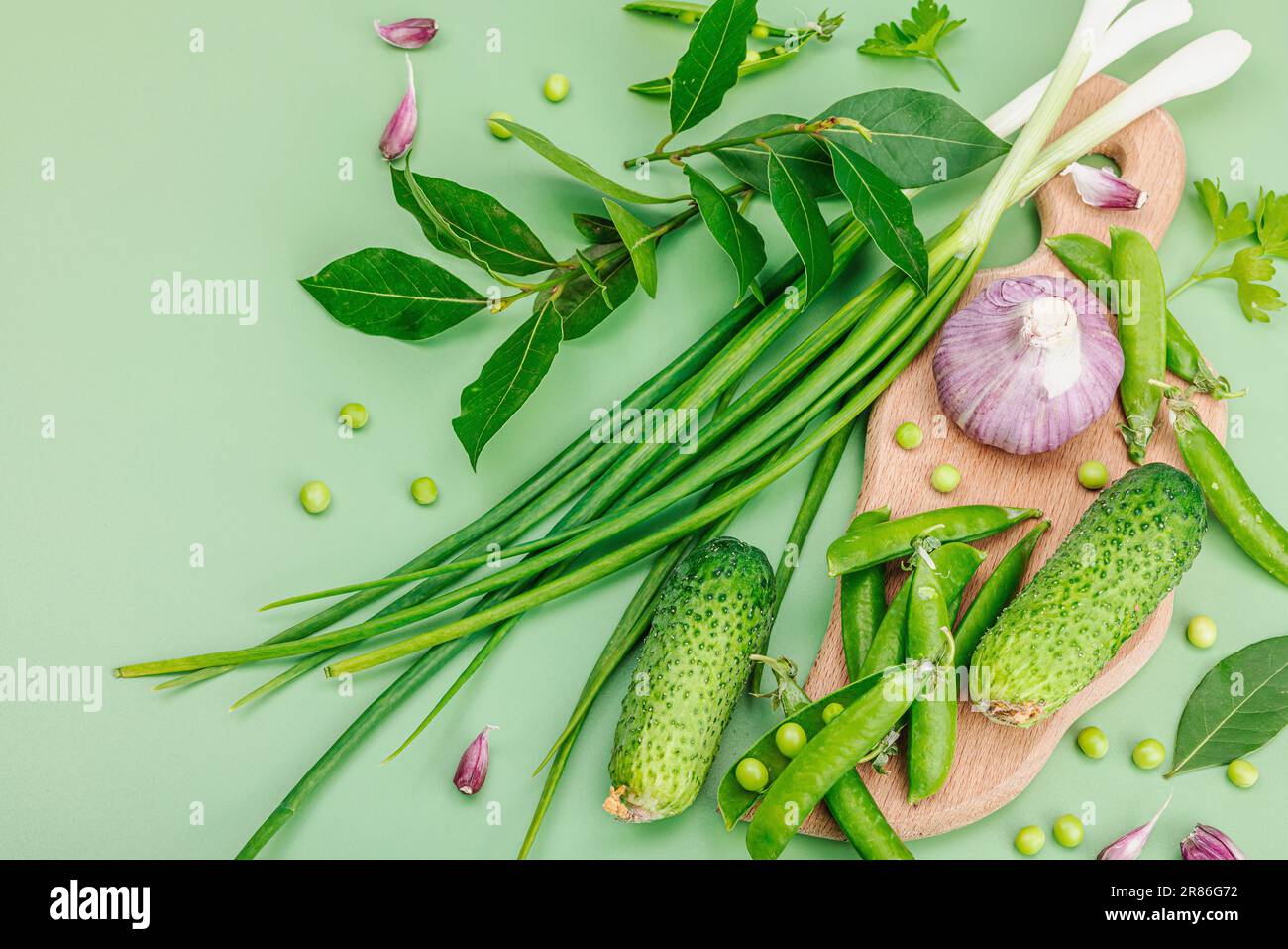Culinary background in green tones. Preserved and fermented food ...