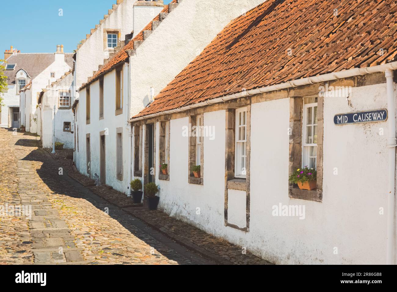 White harling hi-res stock photography and images - Alamy