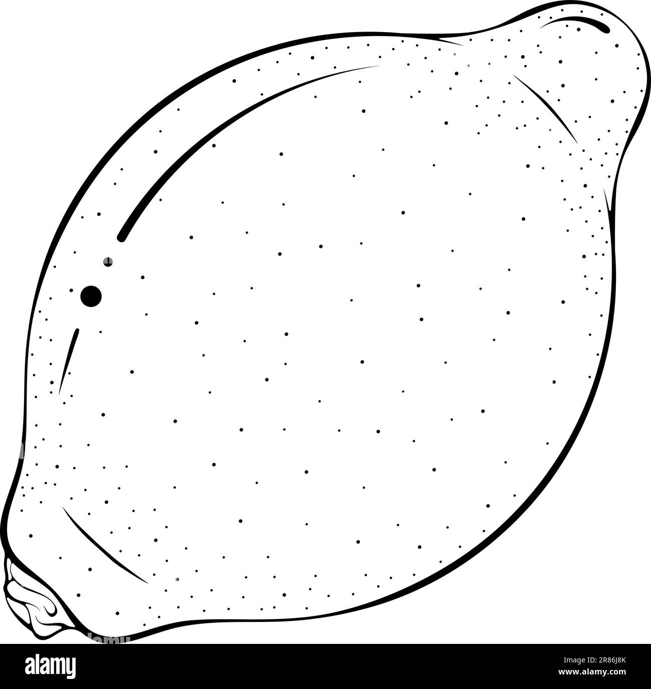 Whole lemon line art Stock Vector Image & Art - Alamy