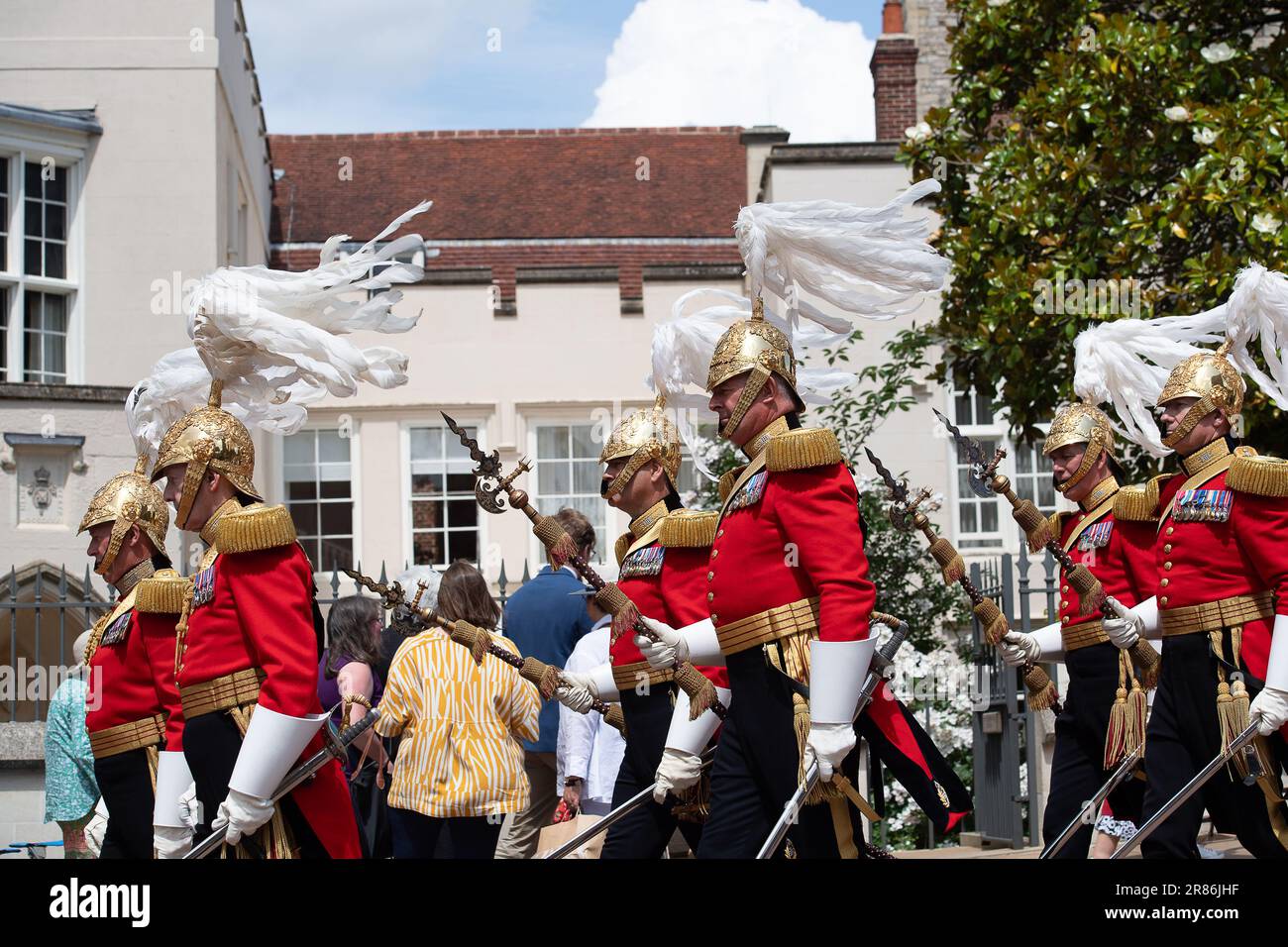 Knights of the order of the swan hi-res stock photography and images ...