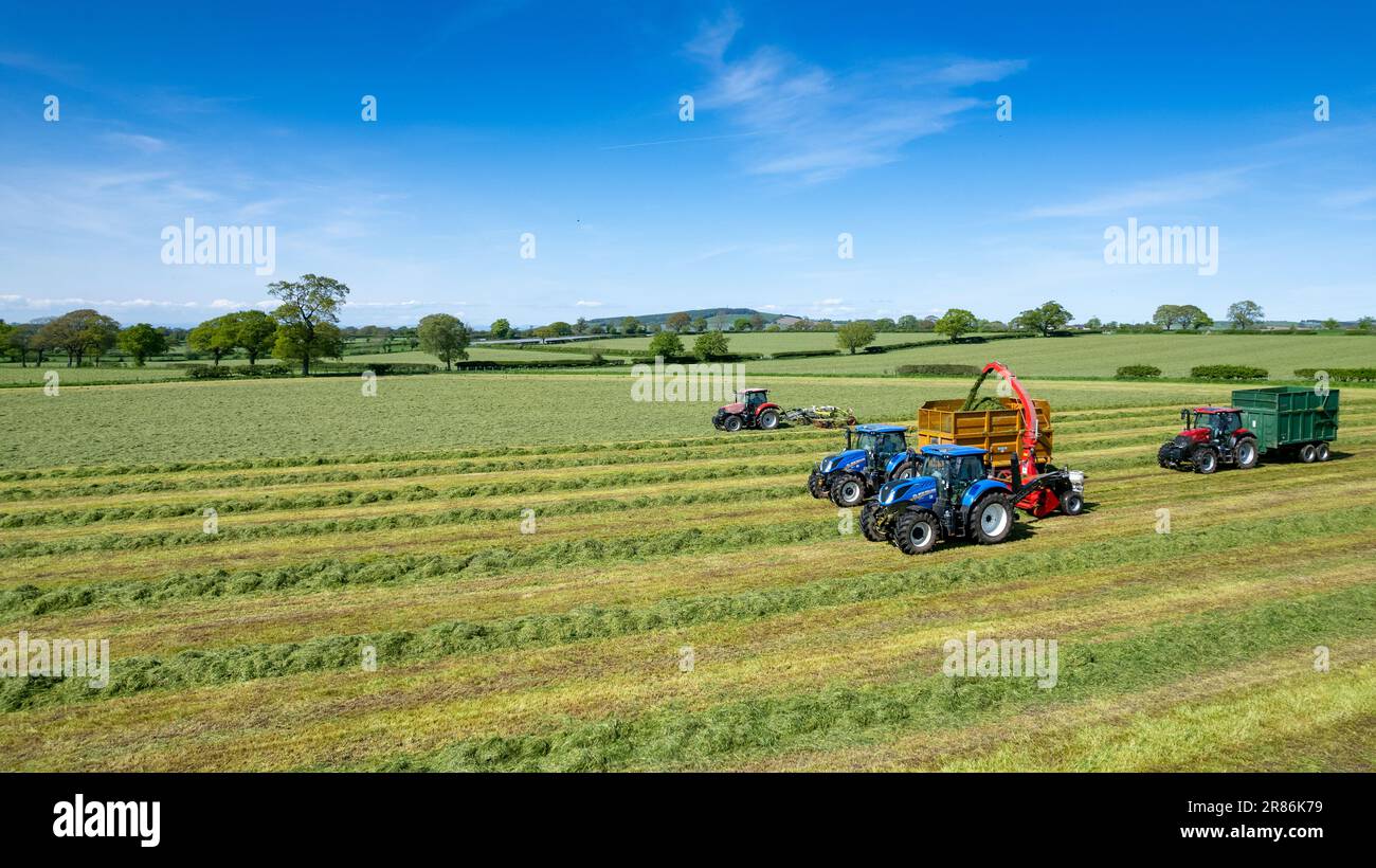 Making first cut silage on a dairy farm in early summer in the Eden ...