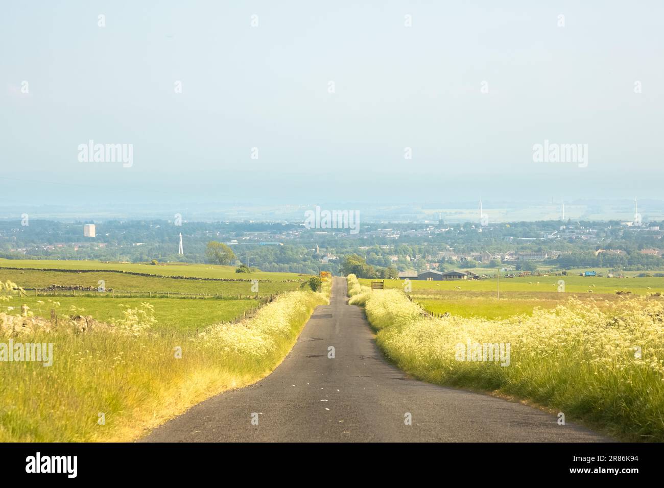 An empty country road straight ahead through rural rolling countryside ...