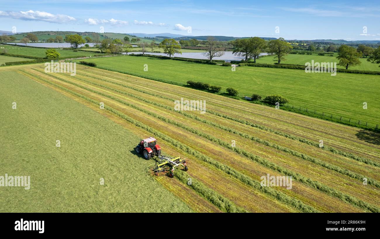 Making first cut silage on a dairy farm in early summer in the Eden ...