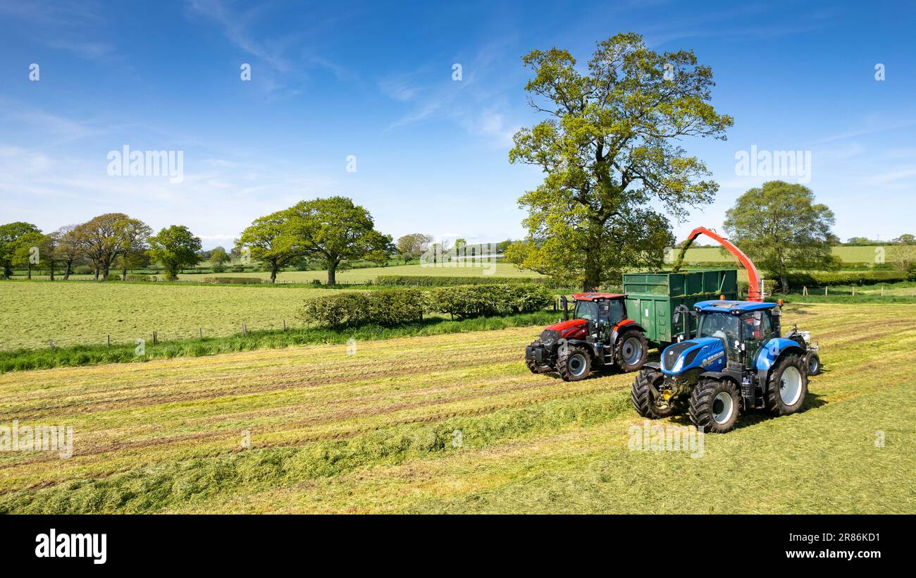 Making first cut silage on a dairy farm in early summer in the Eden ...
