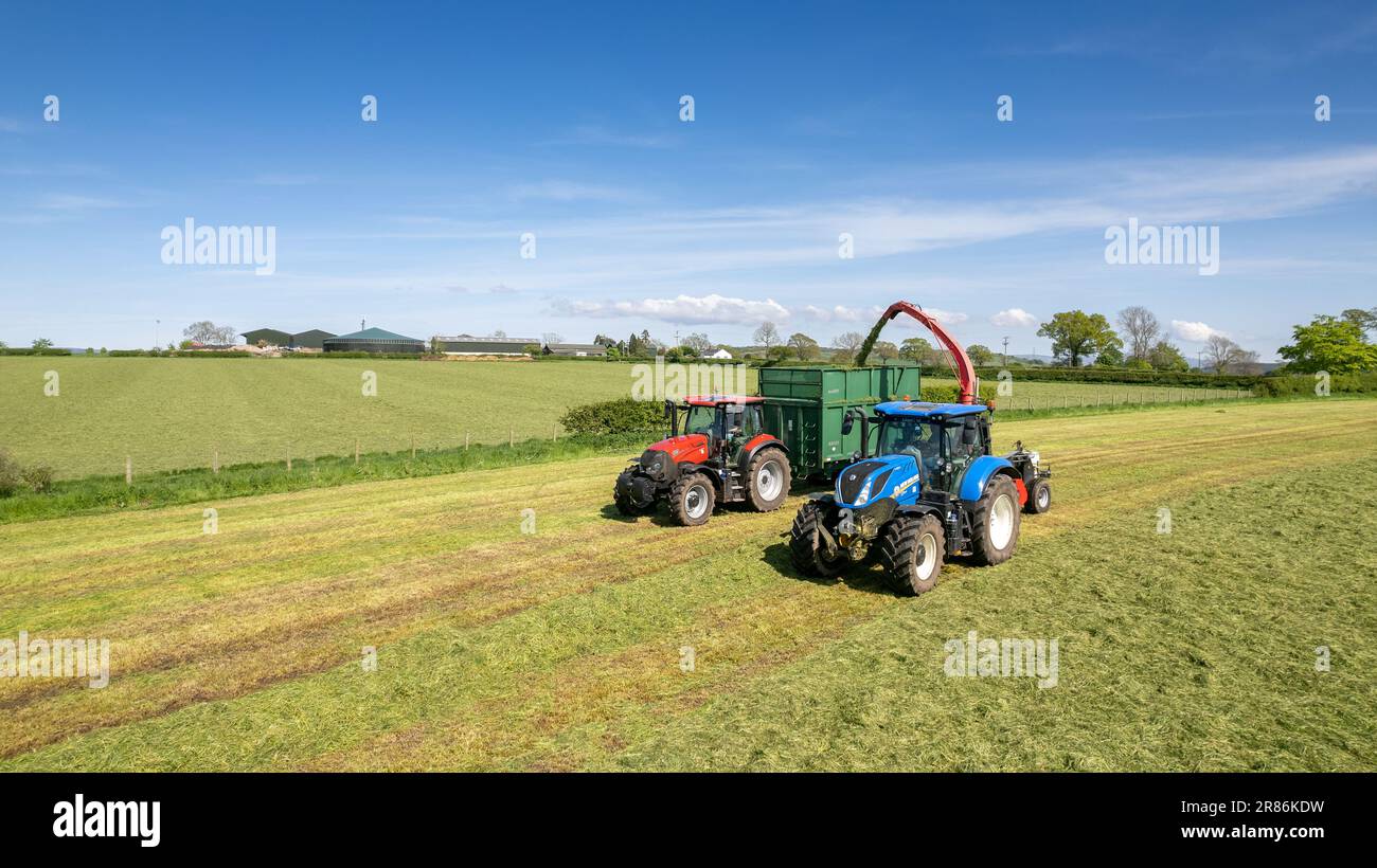 Making first cut silage on a dairy farm in early summer in the Eden ...