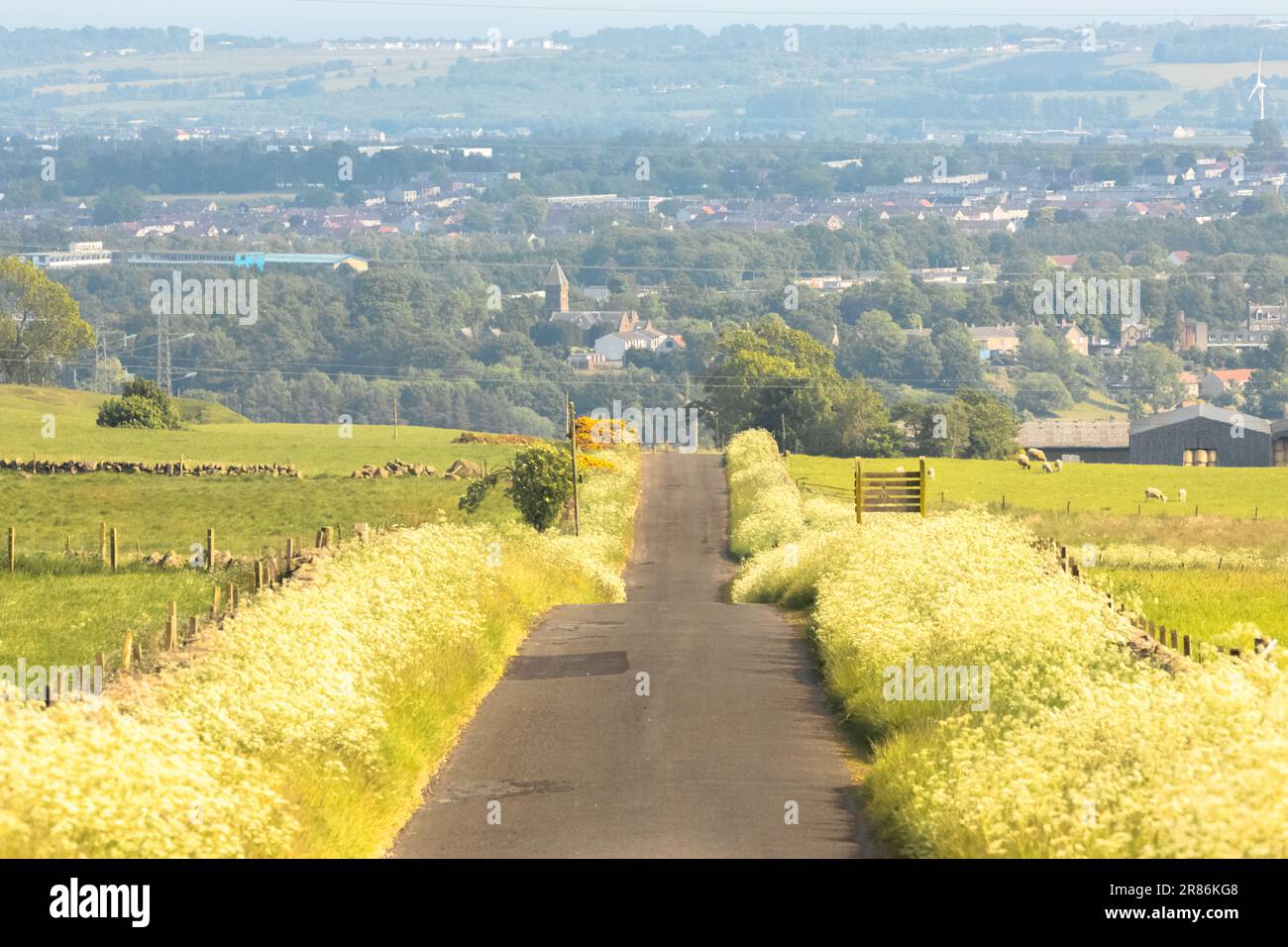 An empty country road straight ahead through rural rolling countryside ...