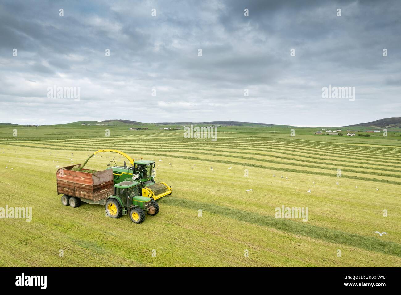 Silage making at a dairy farm on the Orkneys with a John Deere self ...
