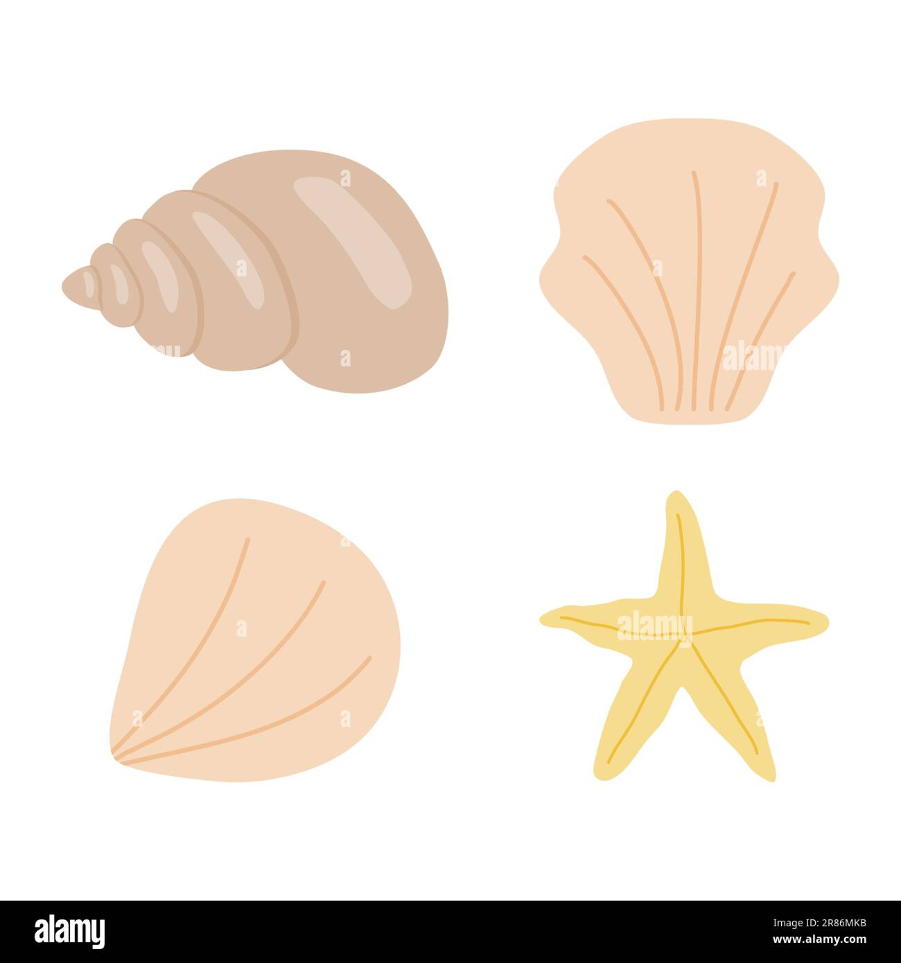Set of sea shells and sea star, flat vector illustration Stock Vector ...