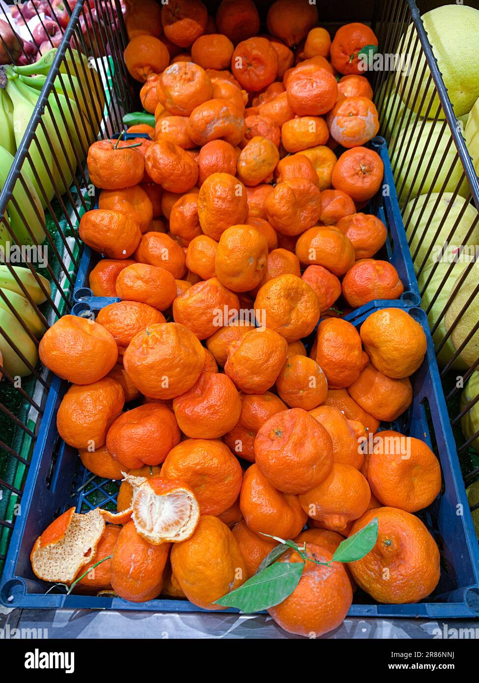 Assortment of fresh mandarins in the supermarket or market. Top view ...