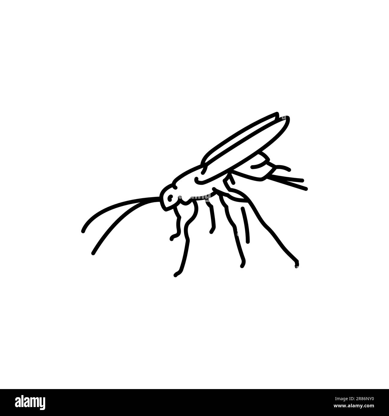Ipis Clipart Black And White