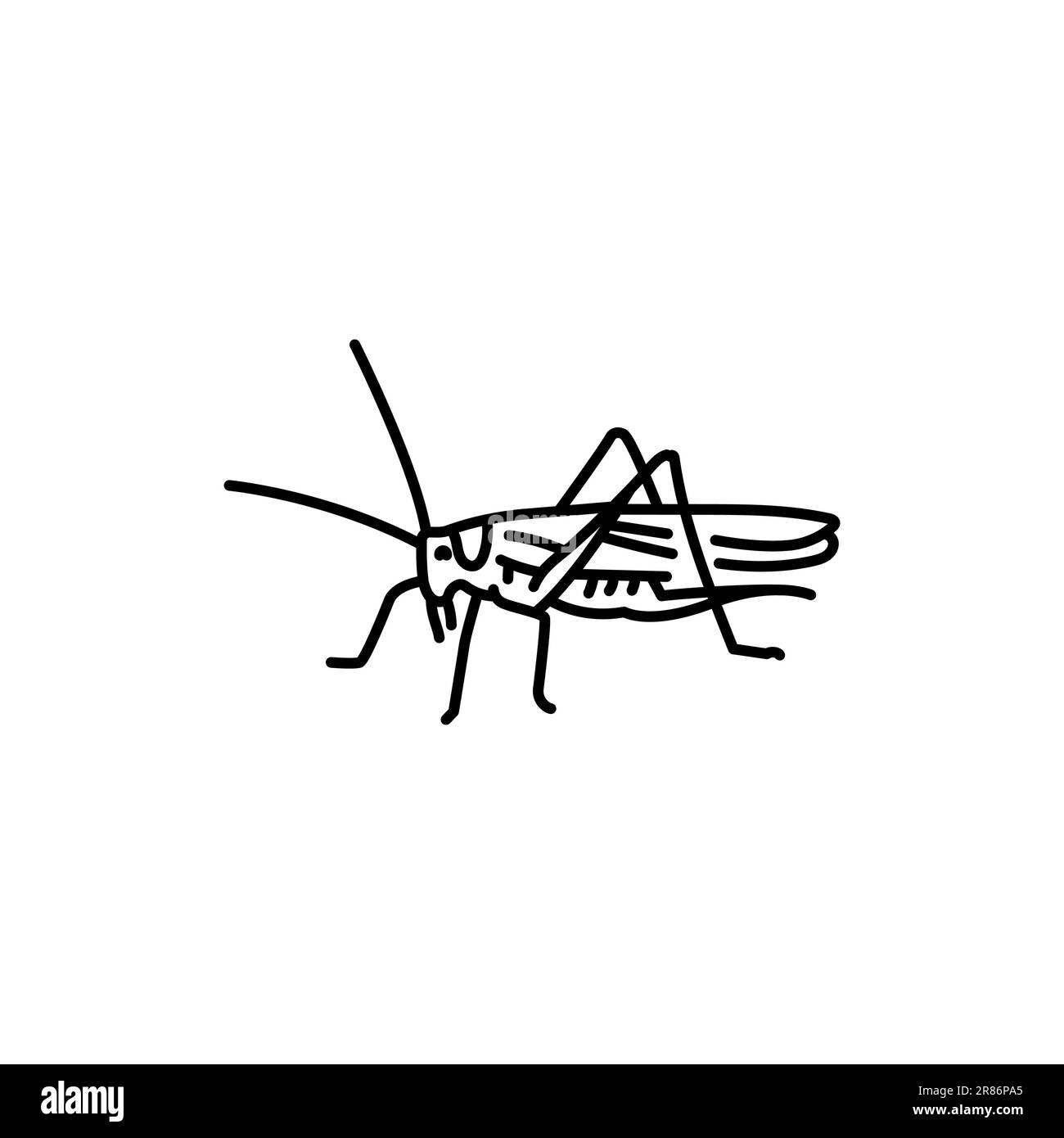Grasshopper black line icon. Pictogram for web page, mobile app, promo ...