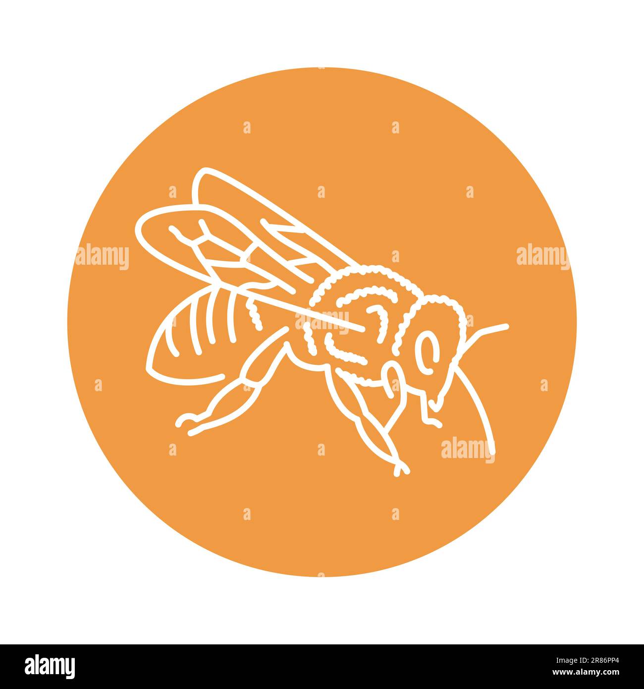 Bee black line icon. Farm animals. Pictogram for web page, mobile app ...