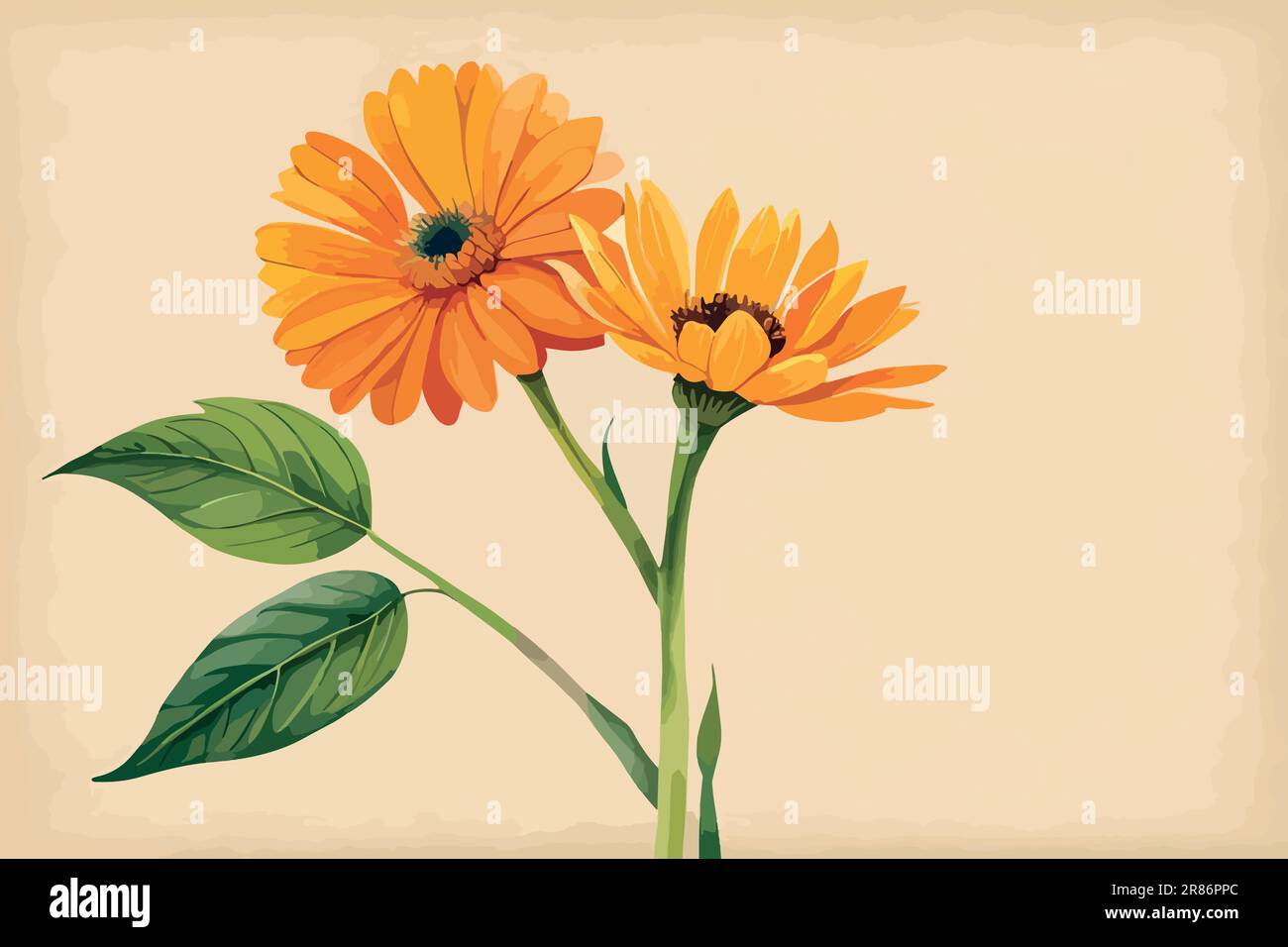 Flower watercolor illustration Stock Vector Images - Alamy