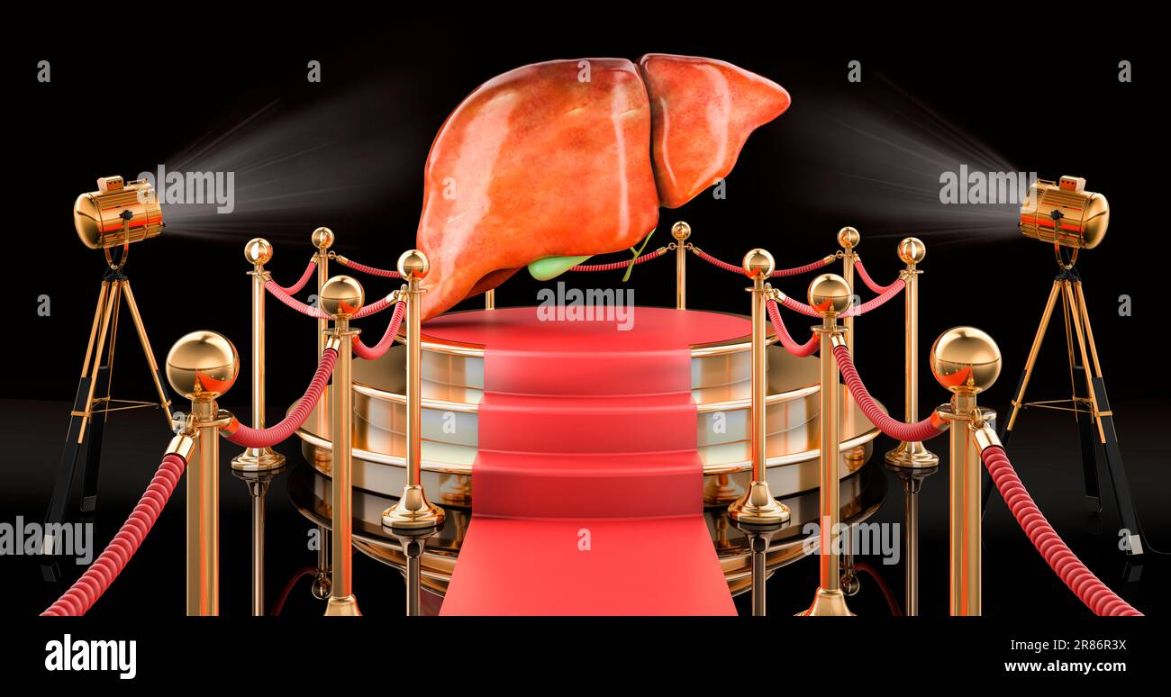 Human liver with gallbladder hi-res stock photography and images - Alamy