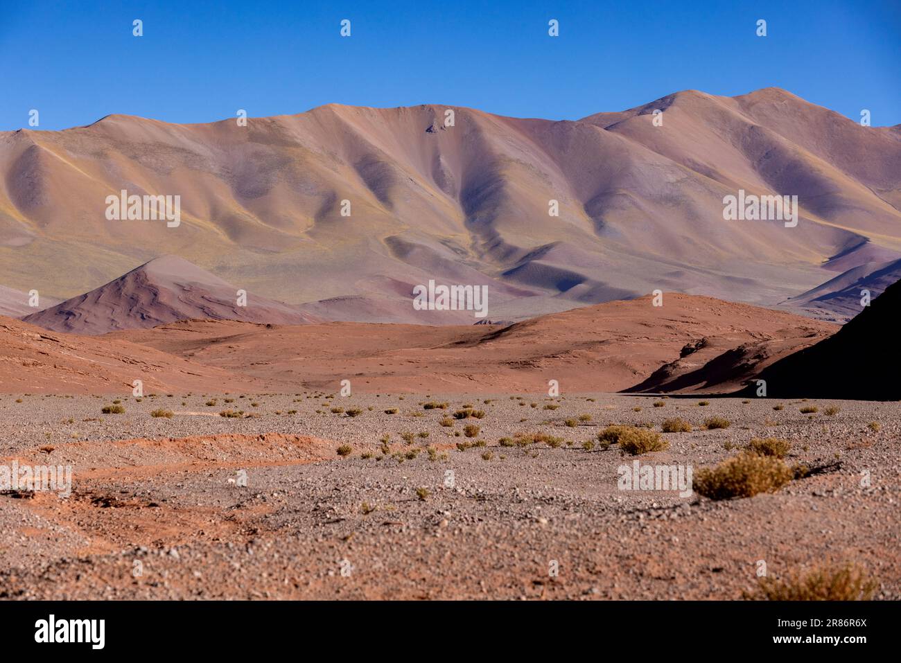 Desierto del Diablo: exploring the scenic Devil's desert in the remote ...