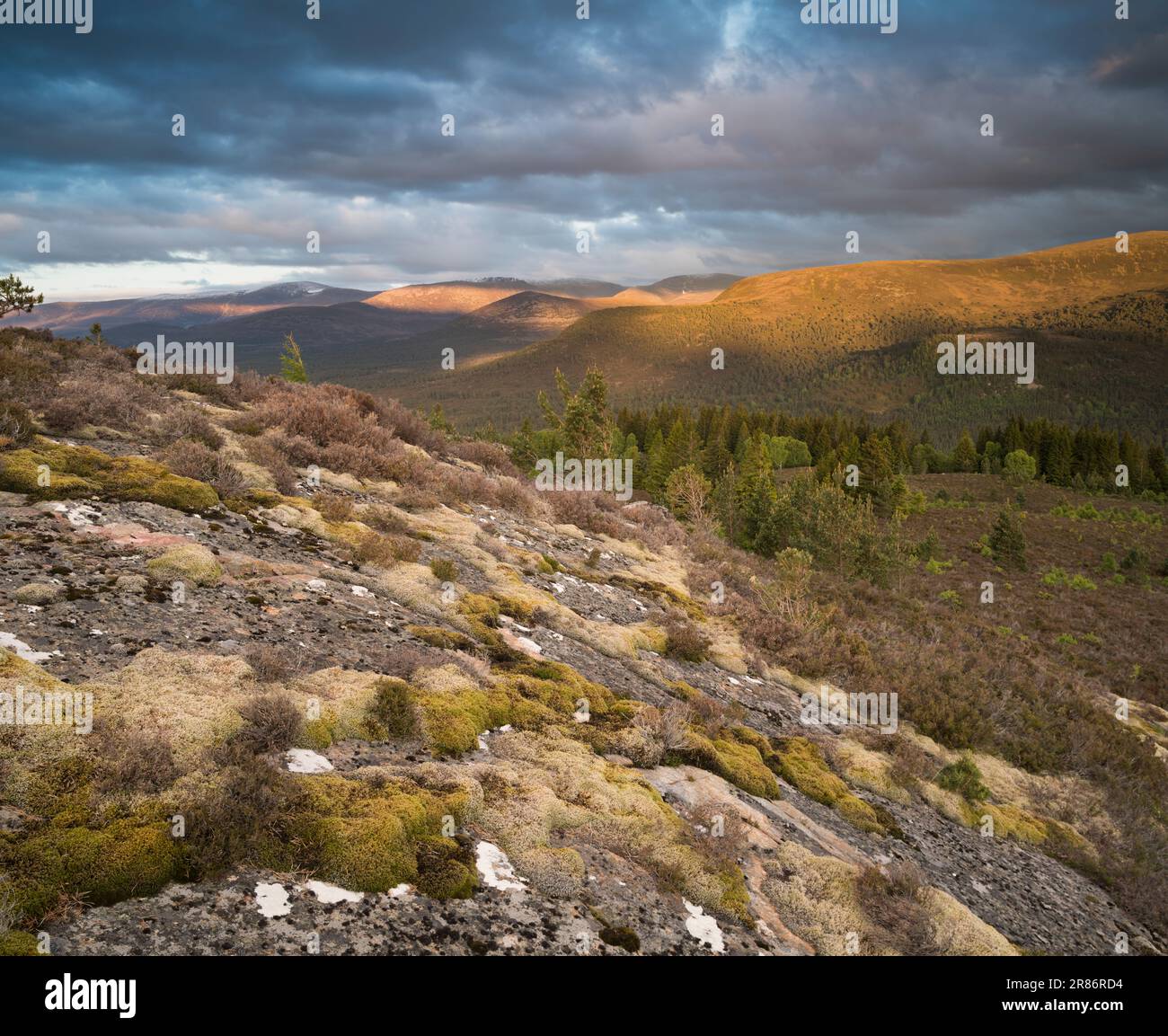 The Cairngorm Mountains viewed from Ord Ban, Loch an Eilean, Scotland ...