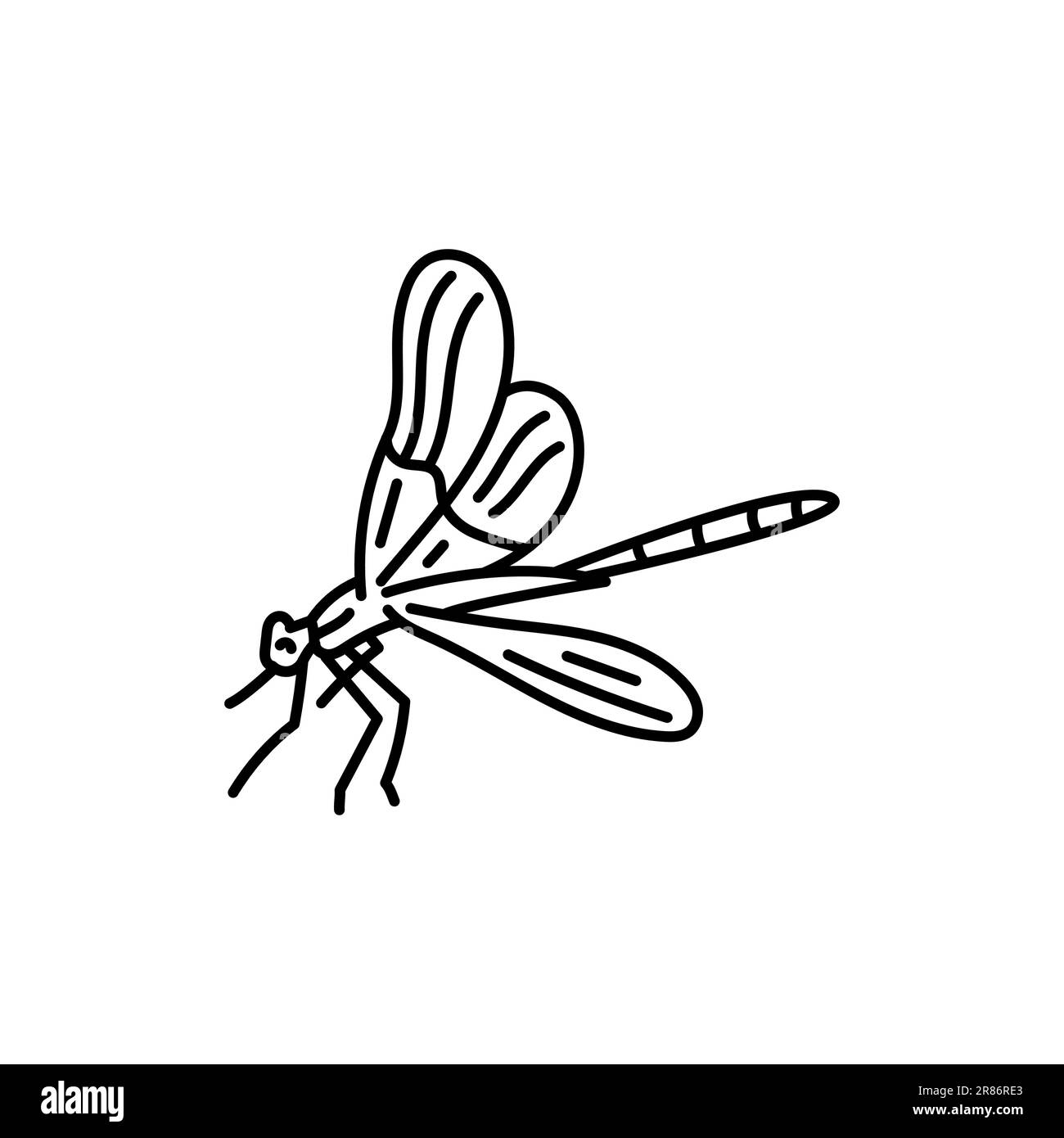 Dragonfly app hi-res stock photography and images - Alamy