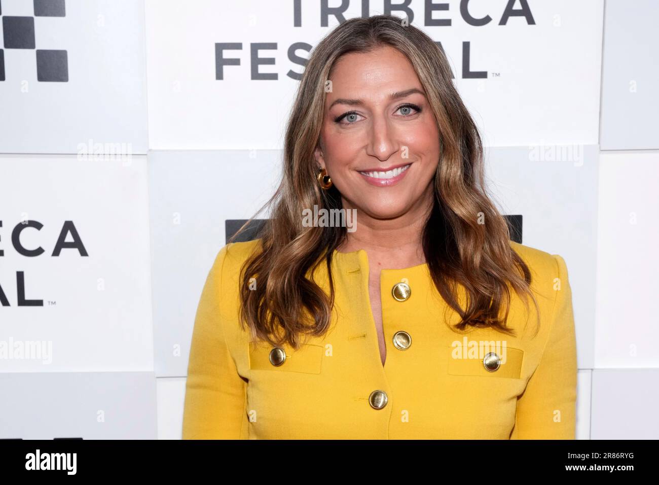 Chelsea Peretti attends the premiere of "The Perfect Find" at the BMCC ...